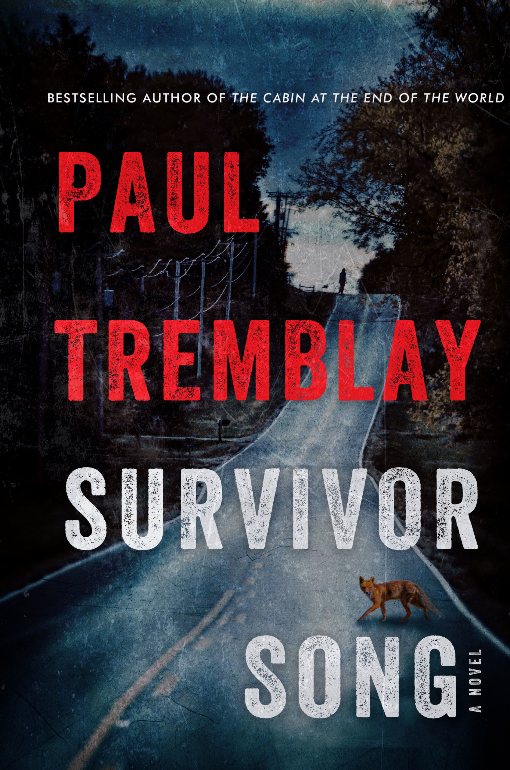 Summer Reading List 2020: Exciting New Releases | Reader Haven
